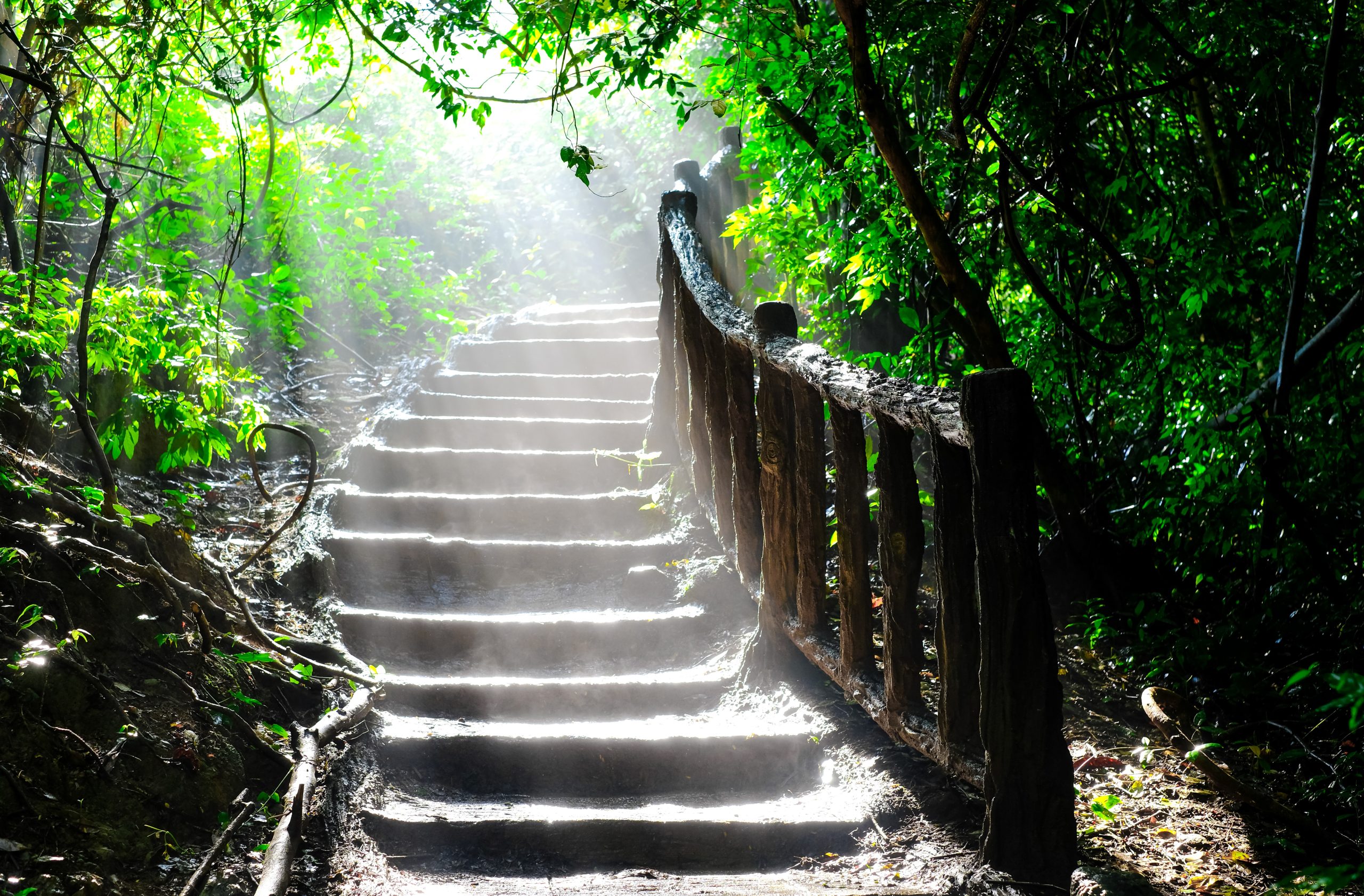 The 12 Steps Of Addiction Recovery: A Healing Journey